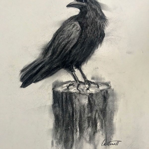 Crow Series Archives - Greg Cartmell